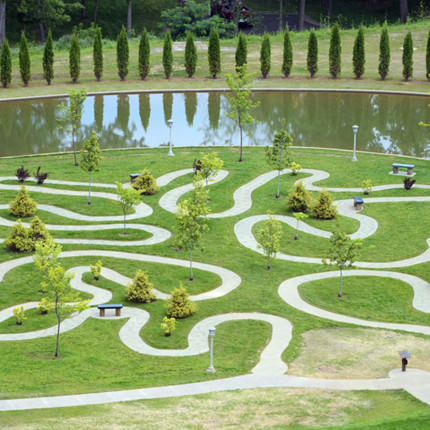 Grantmaking - Ariel Foundation